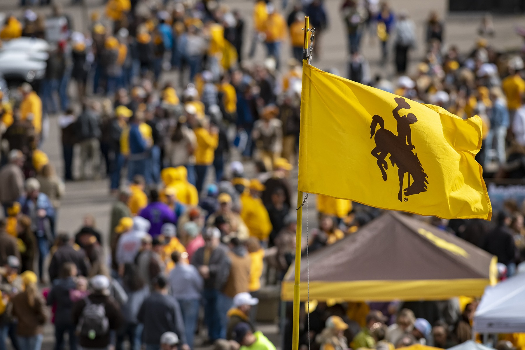 Branding Iron The History Of Homecoming Branding Iron Branding Iron The History Of Homecoming Branding Iron